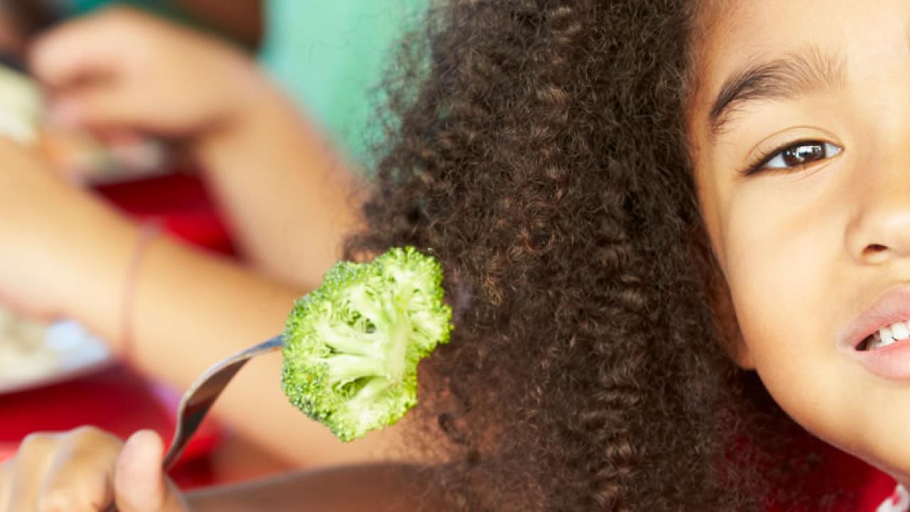 Training Curriculum | cns